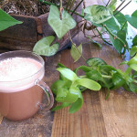 Modern Butter Tea, aka Bulletproof Tea – The Tea Spot