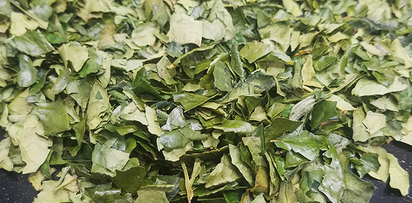 Ceremonial Grade-A Matcha: Love at First Sip – The Tea Spot